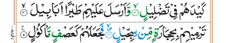 [105] Surah Feel | Surah Feel in English - Deen-o-Iman